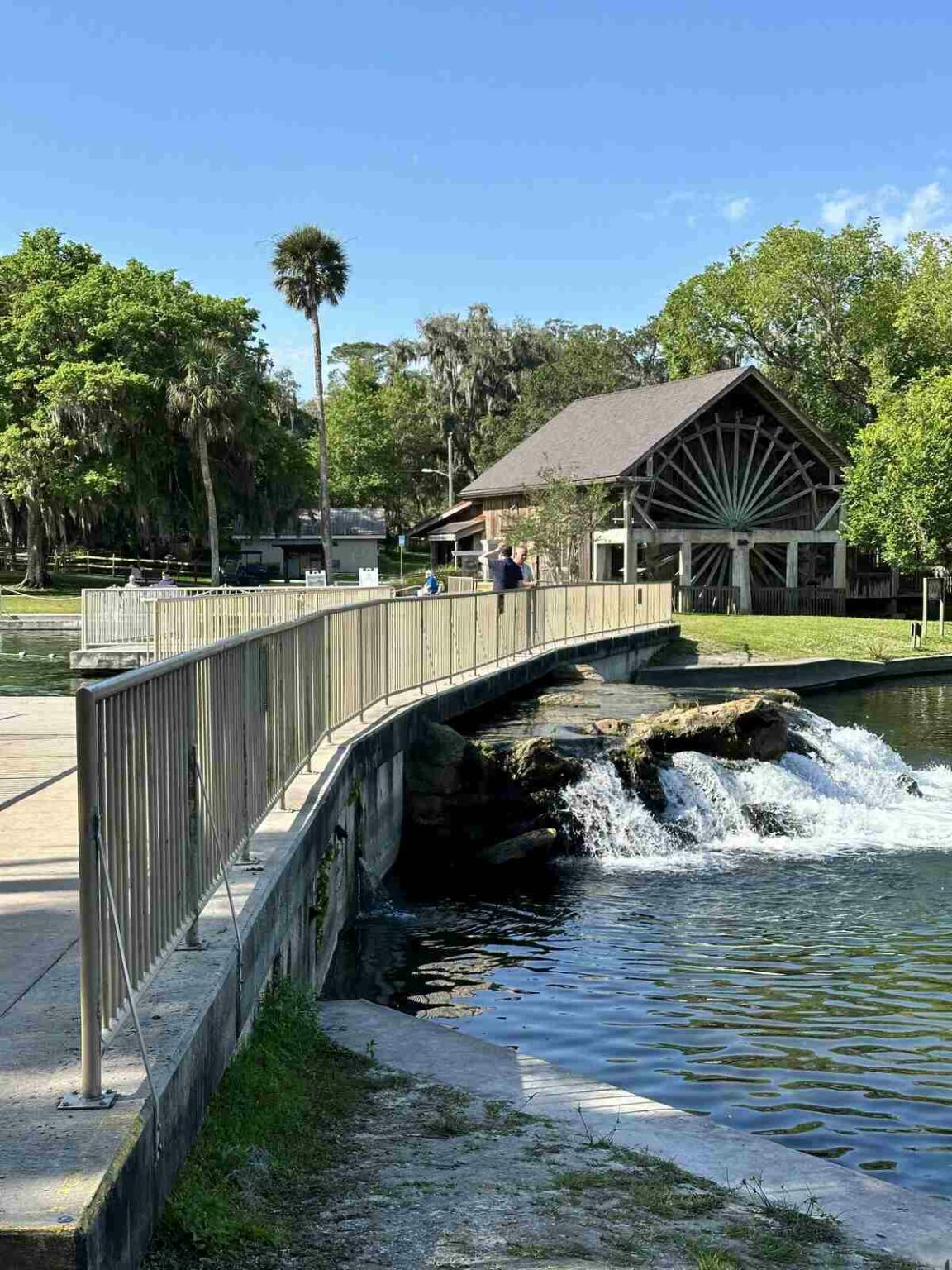 GUIDE: DeLand a Journey Through History, Art, and Nature - Trip Jaunt ...