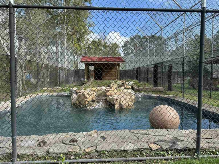 Catty Shack Ranch - Trip Jaunt : Trip Jaunt