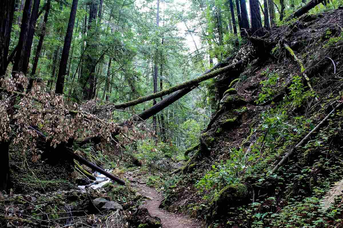 Explore the Real-World Locations of the Original Star Wars Trilogy ...